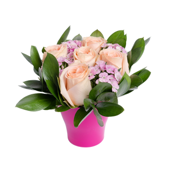 Products – Fantasy Farms